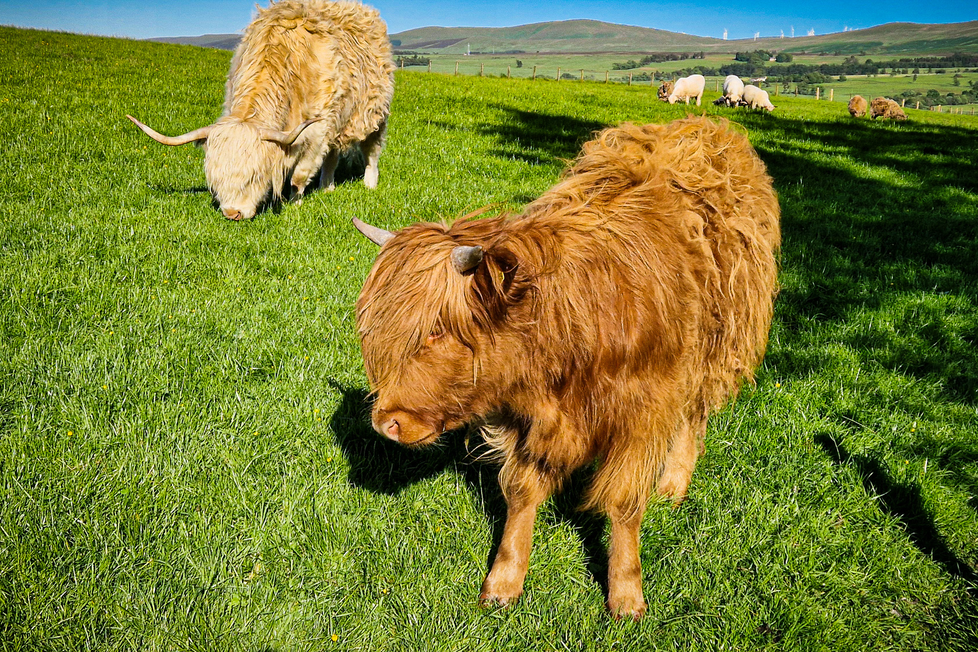 Meet the animals! February 2024 is an exciting month for new arrivals ...